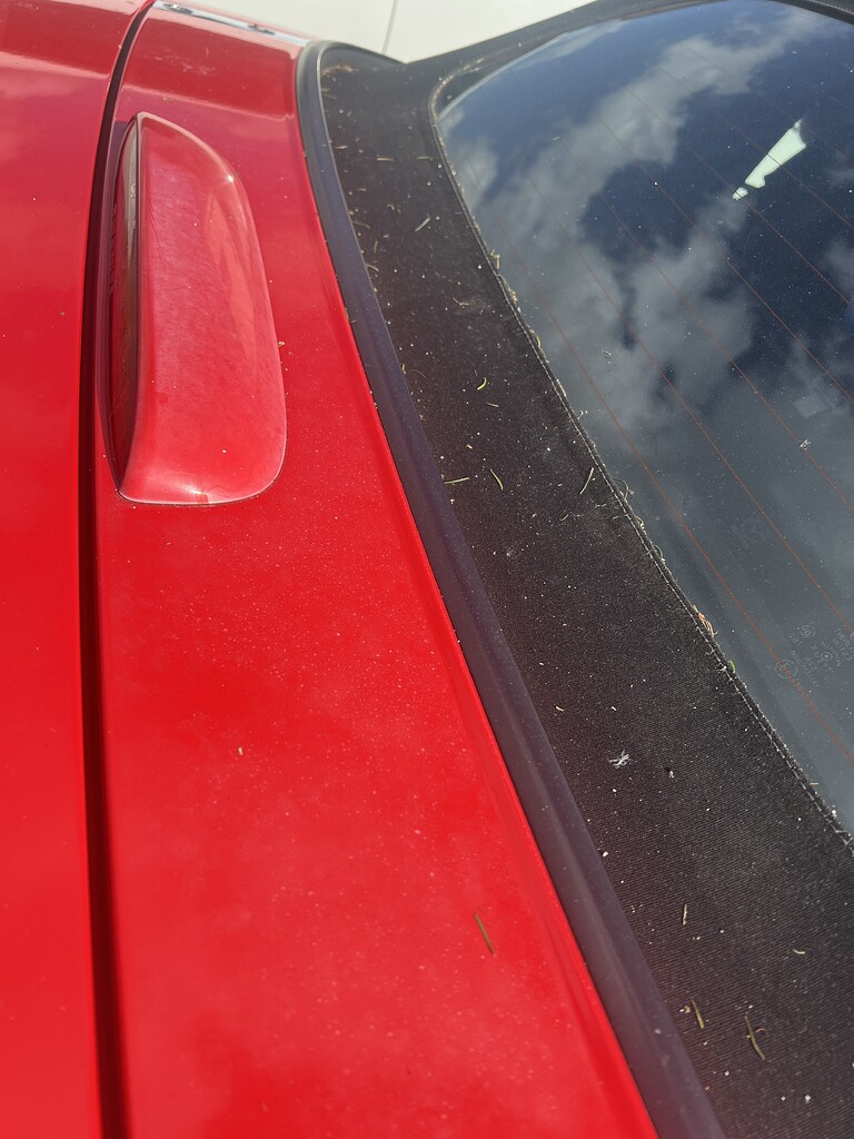 Issues with paintwork “burning away” - Body, Interior & Styling - MX-5 ...
